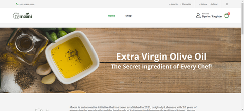 The Web Space | Website Developer -Refrens