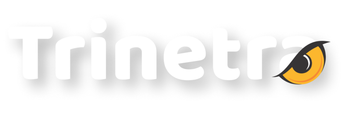 Trinetra Surveillance Systems -Refrens